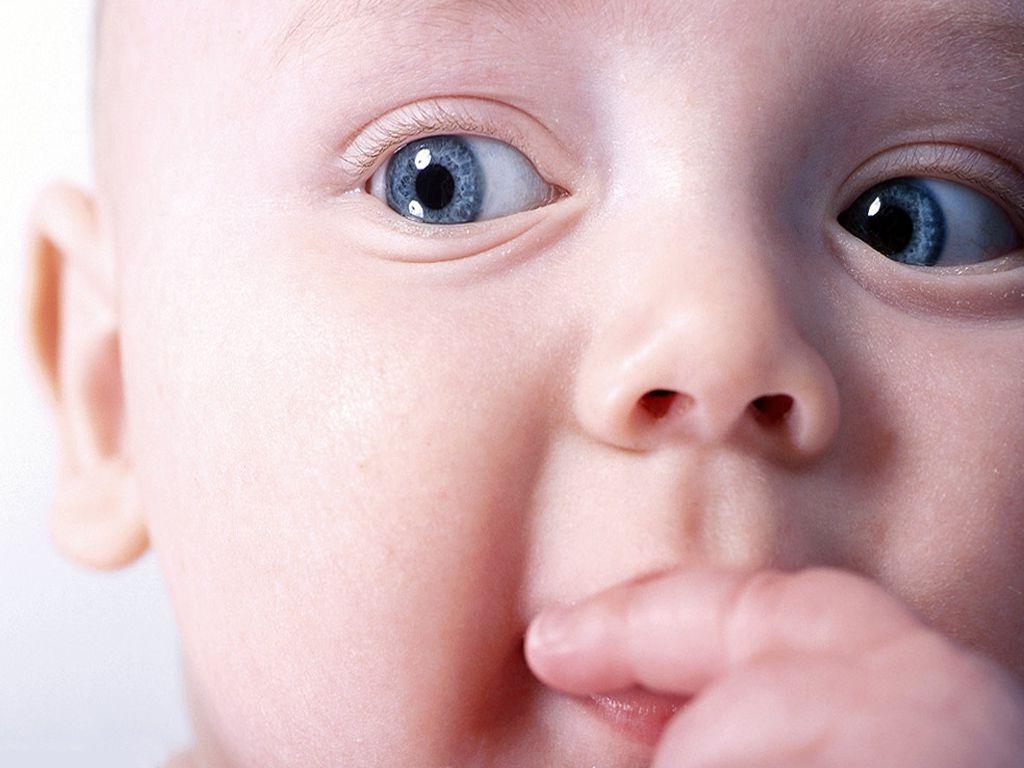 Fotografia: Muito Grande Plano Ou Plano De Promenor